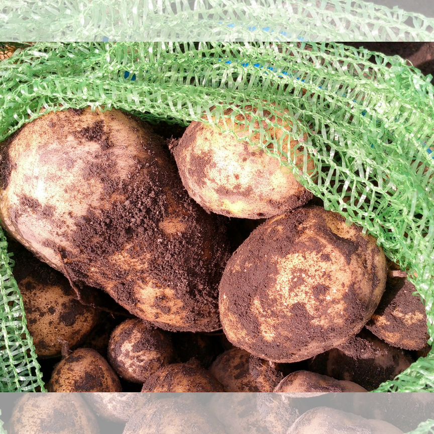 Радиосинхронизатор