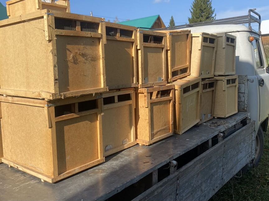 Ящики для пчелопакета