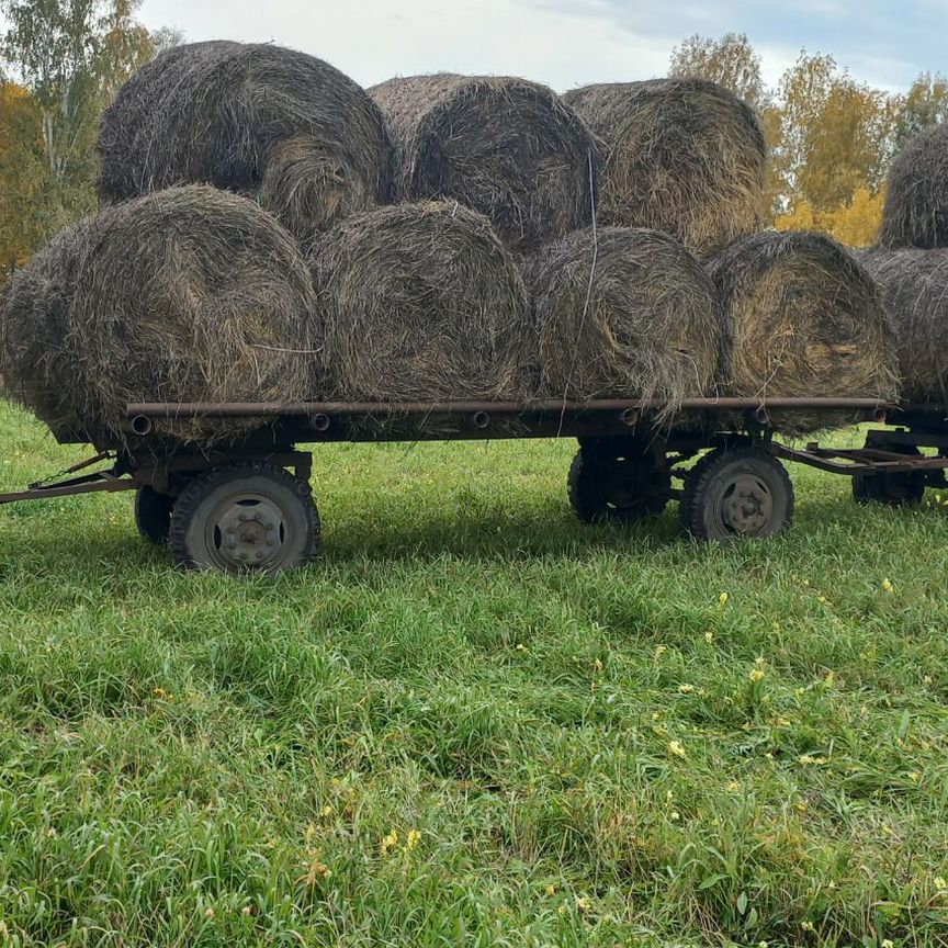 Продам сено,пшеницу