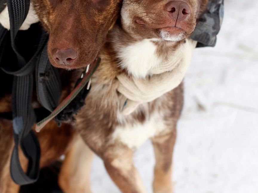 Ромео и Джульетта