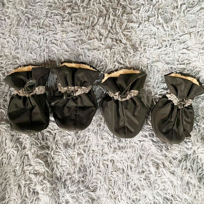 Обувь для собак средних пород