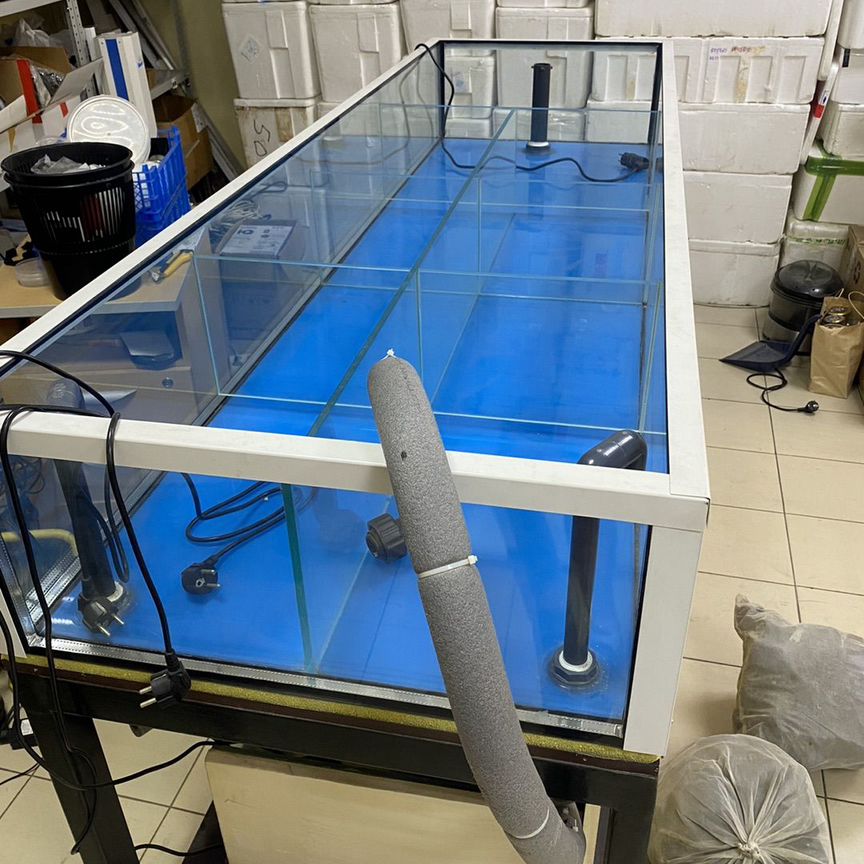 Аквариум для устриц