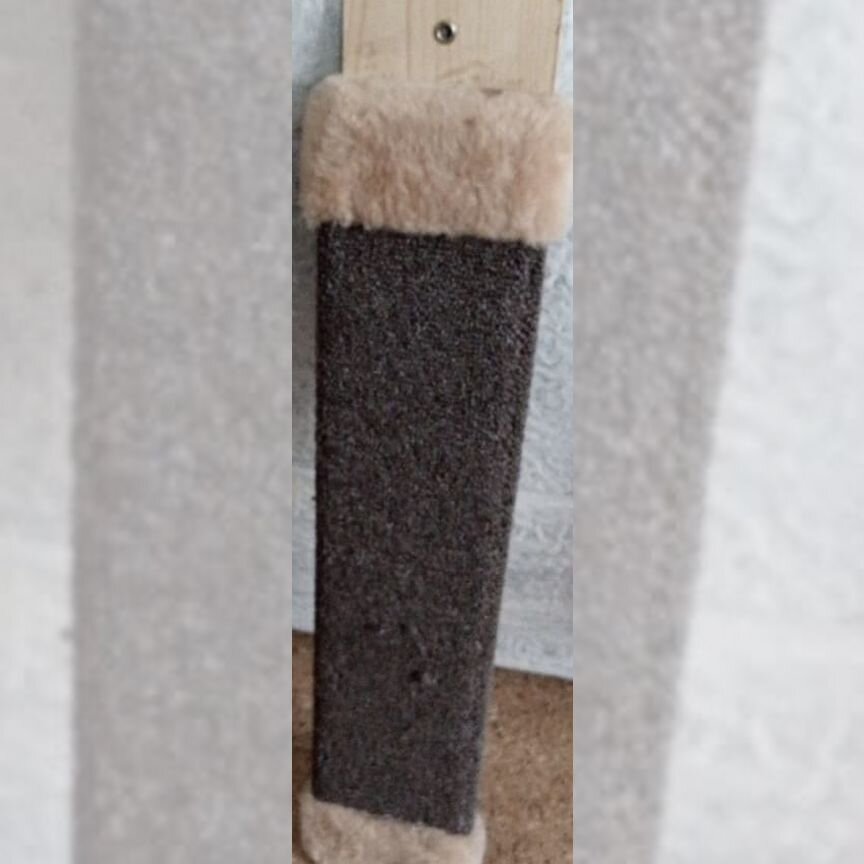 Когтеточка