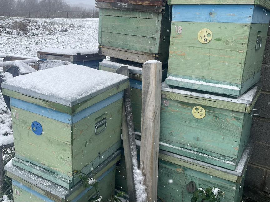 Продам ульи и магазины