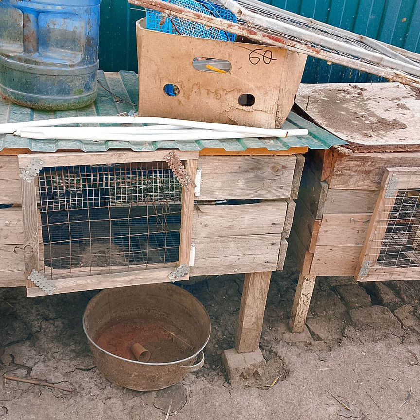 Крольчатник