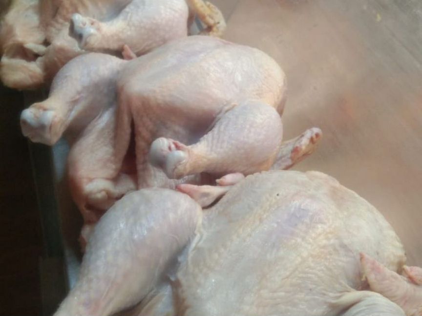 Куры бройлеры тушки мясо