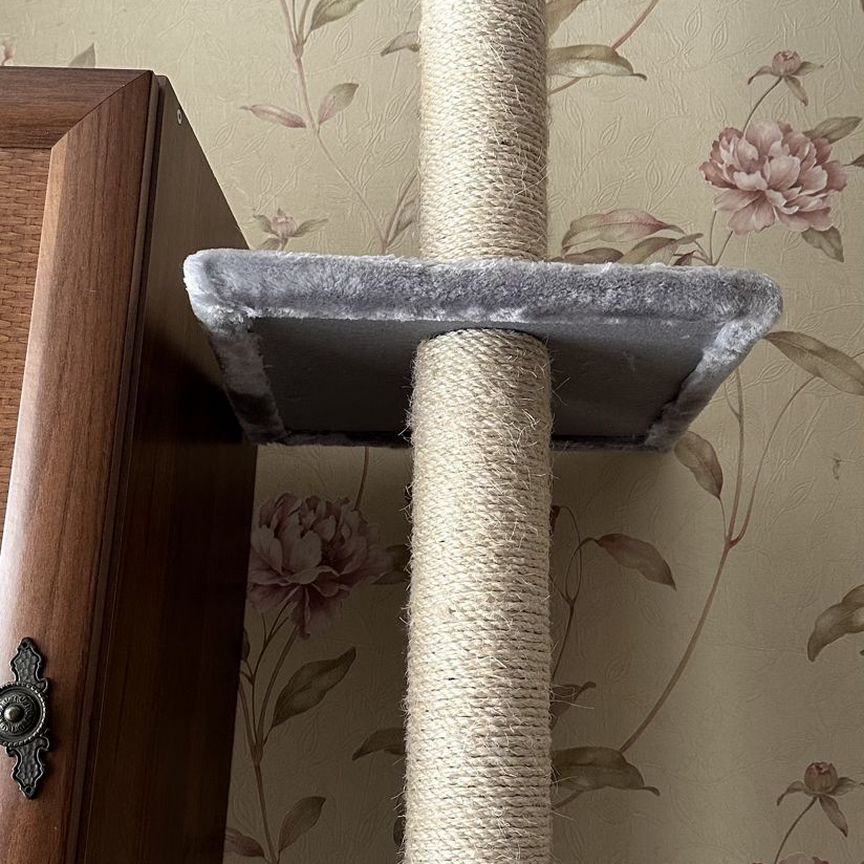 Когтеточка кошачье дерево