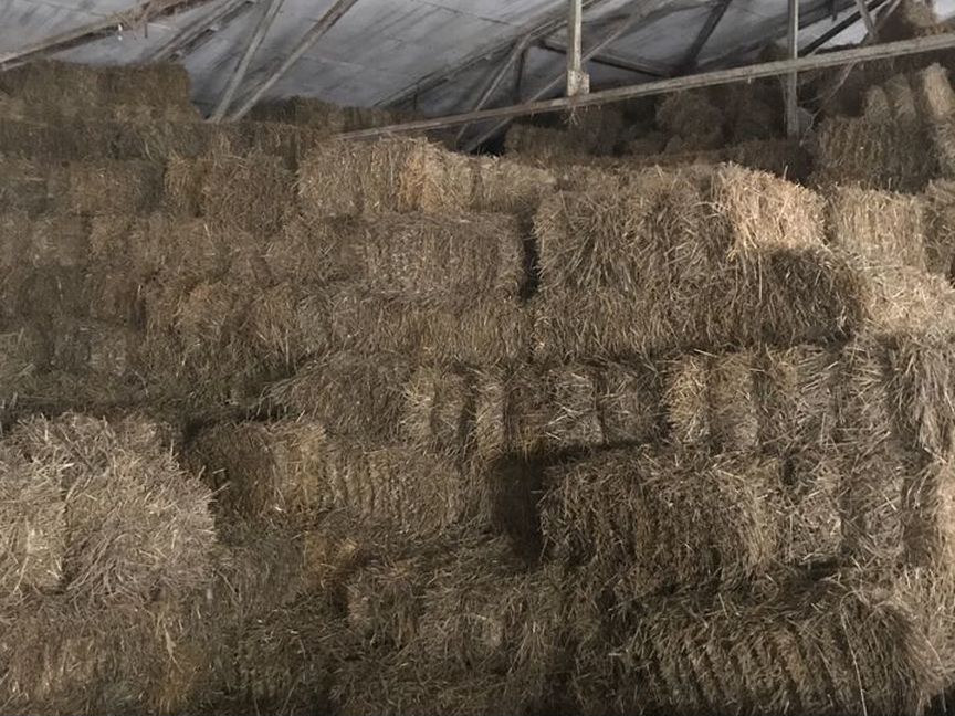Солома сено