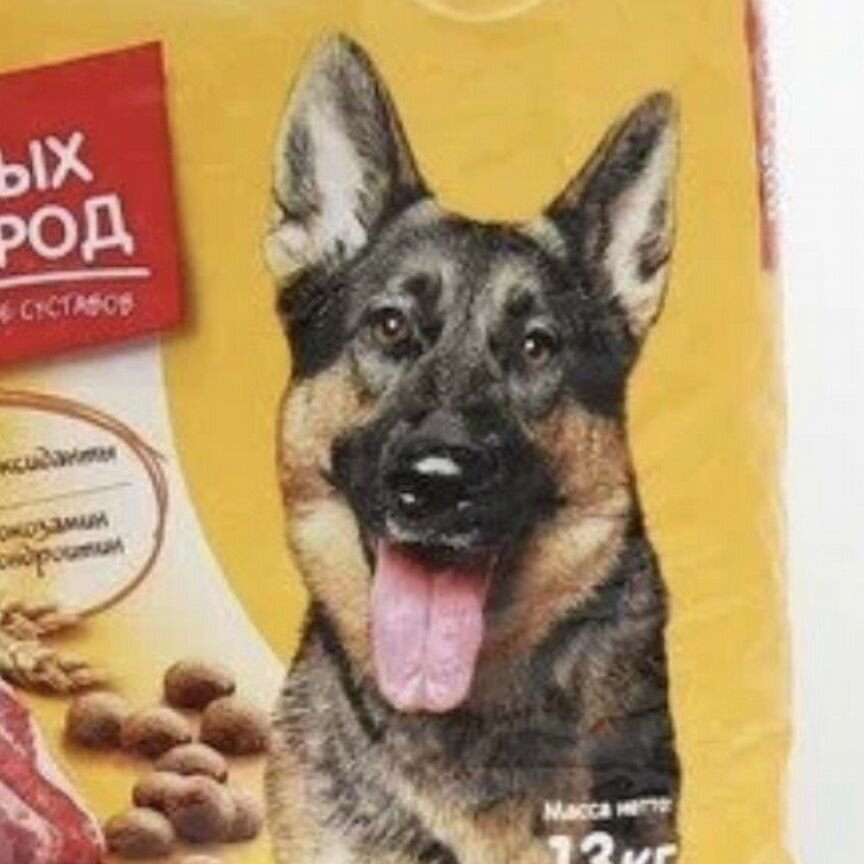 Корм для собак