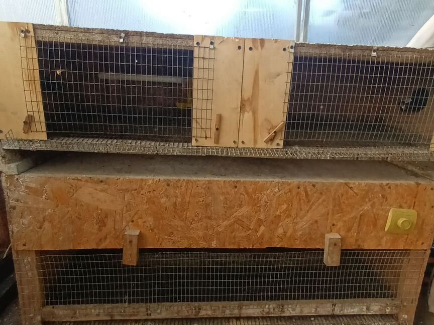 Брудер для цыплят и перепелов бу