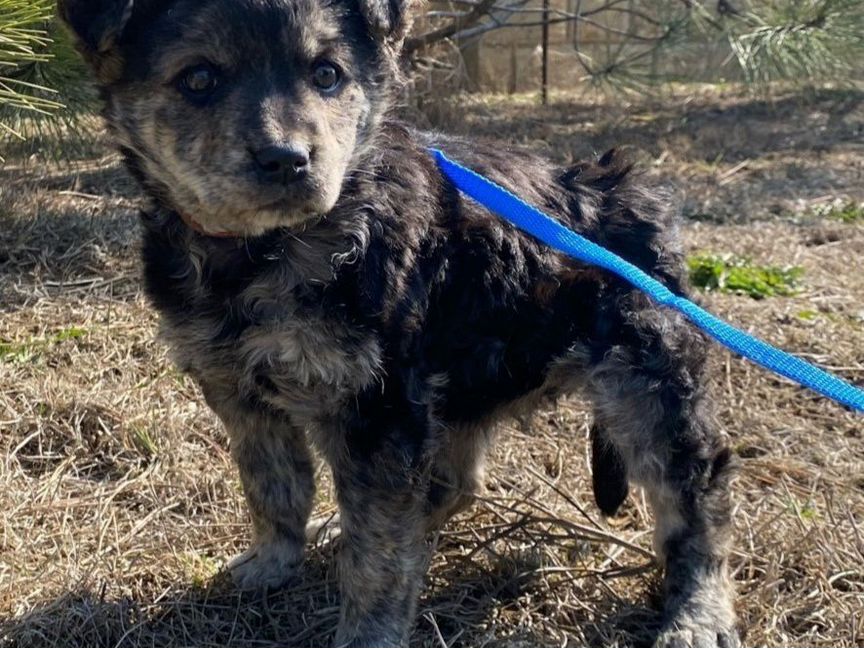 Девочке нужна семья