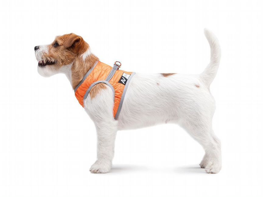 Шлейка collar мягкая AV ONE XS2 (чихуа йорк) салат