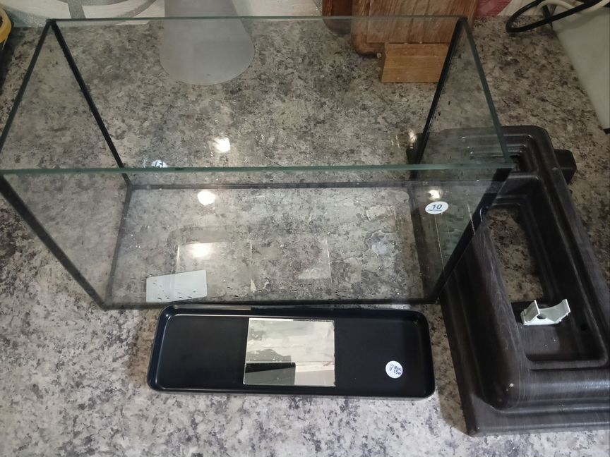 Террариум или аквариум