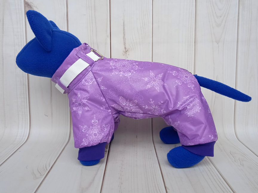 Одежда для собак