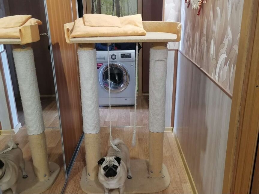 Когтеточка для кошек бу