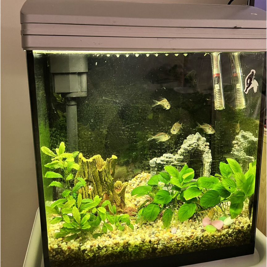 Аквариум boyu 37л