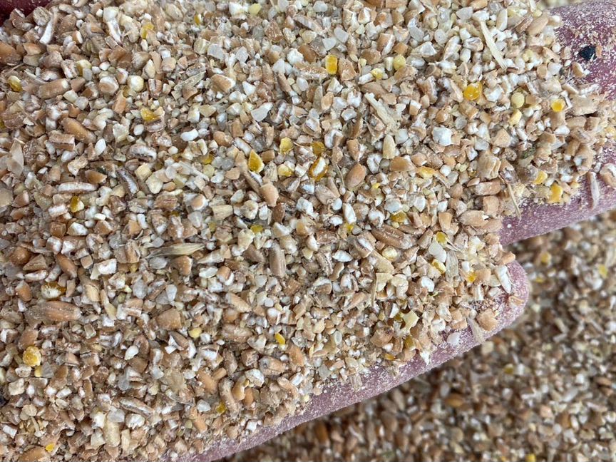 Каша для собак