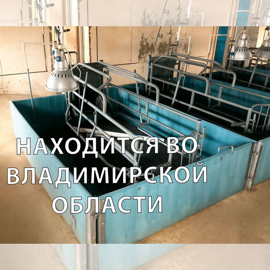 Клетки для опороса свиней
