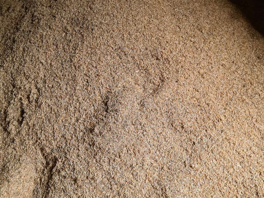 Зерно отходы