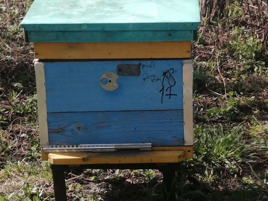 Ульи дадан 12