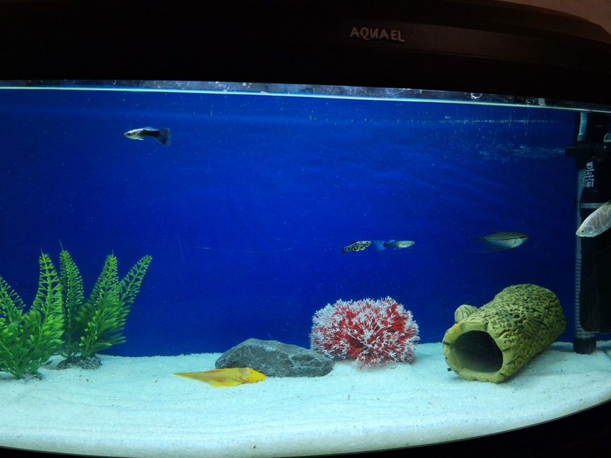 Аквариум Aquael
