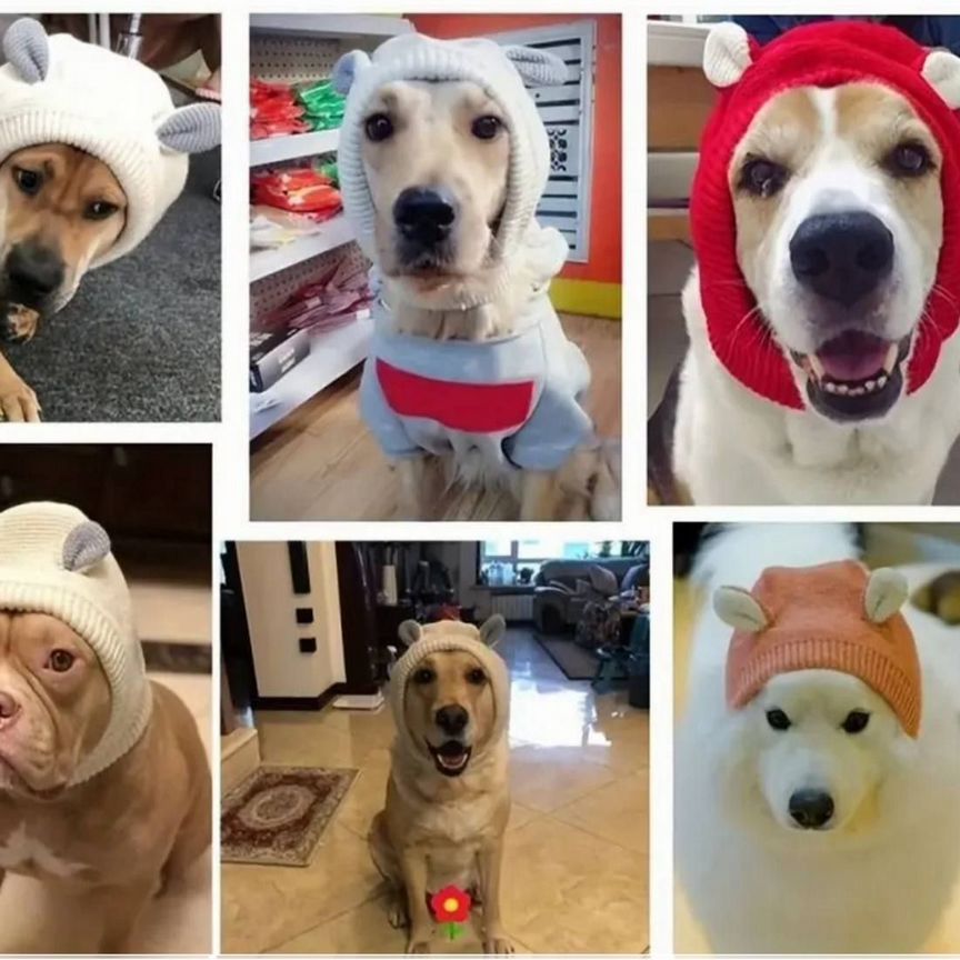 Трикотажная шапка для собак новая