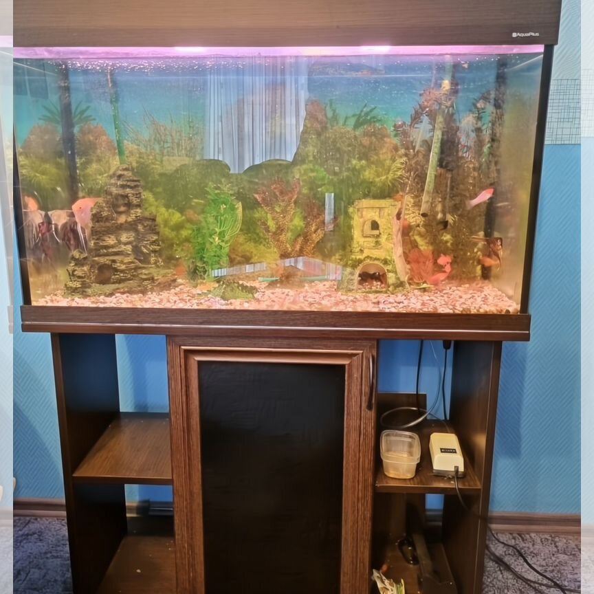 Аквариум 200 литров