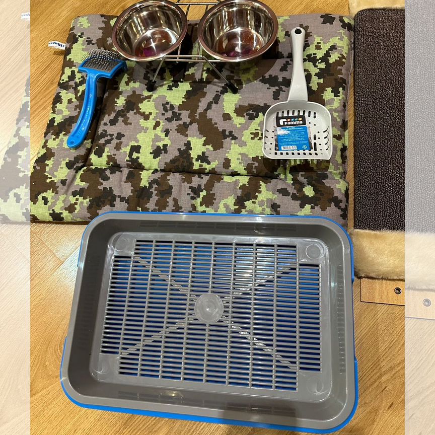 Принадлежности для кошек