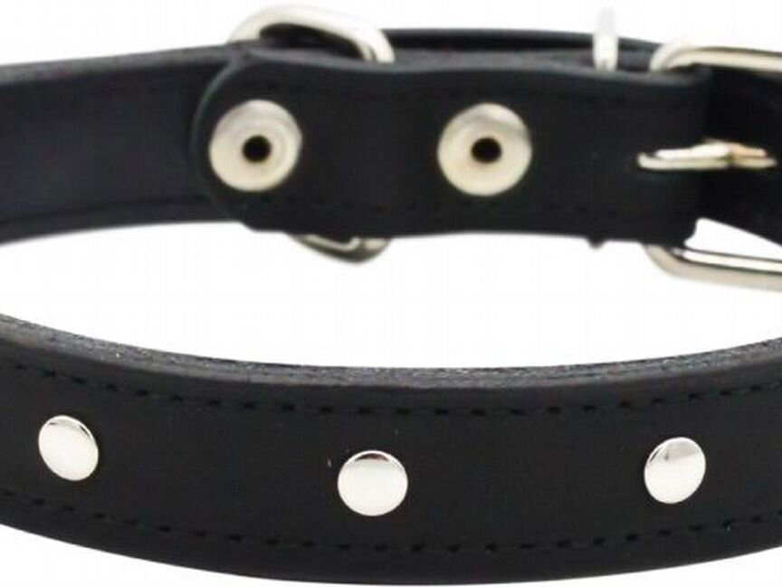 Ошейник 0651Ч 2сл 36 мм пукля длина до 60 см черны