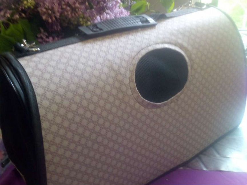 Переноска для кошек. Аренда