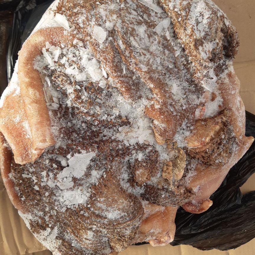 Рубец говяжий