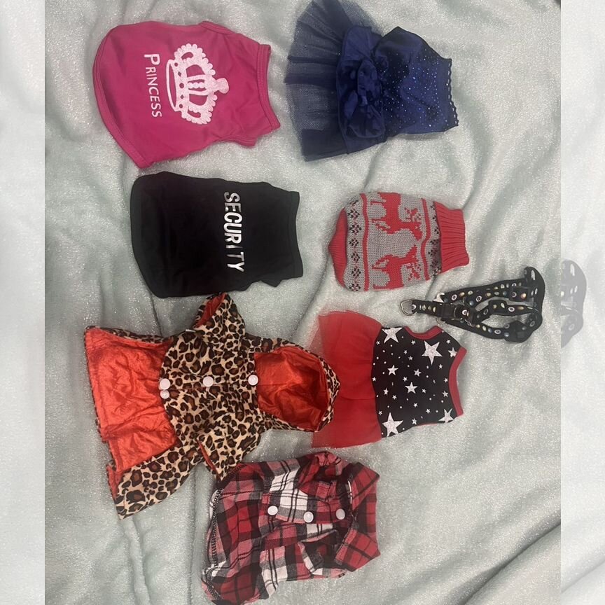 Вещи новые для собак мелких пород