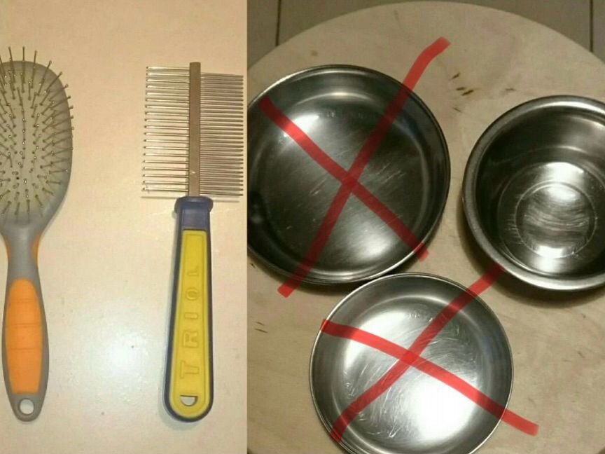 Миска щетка