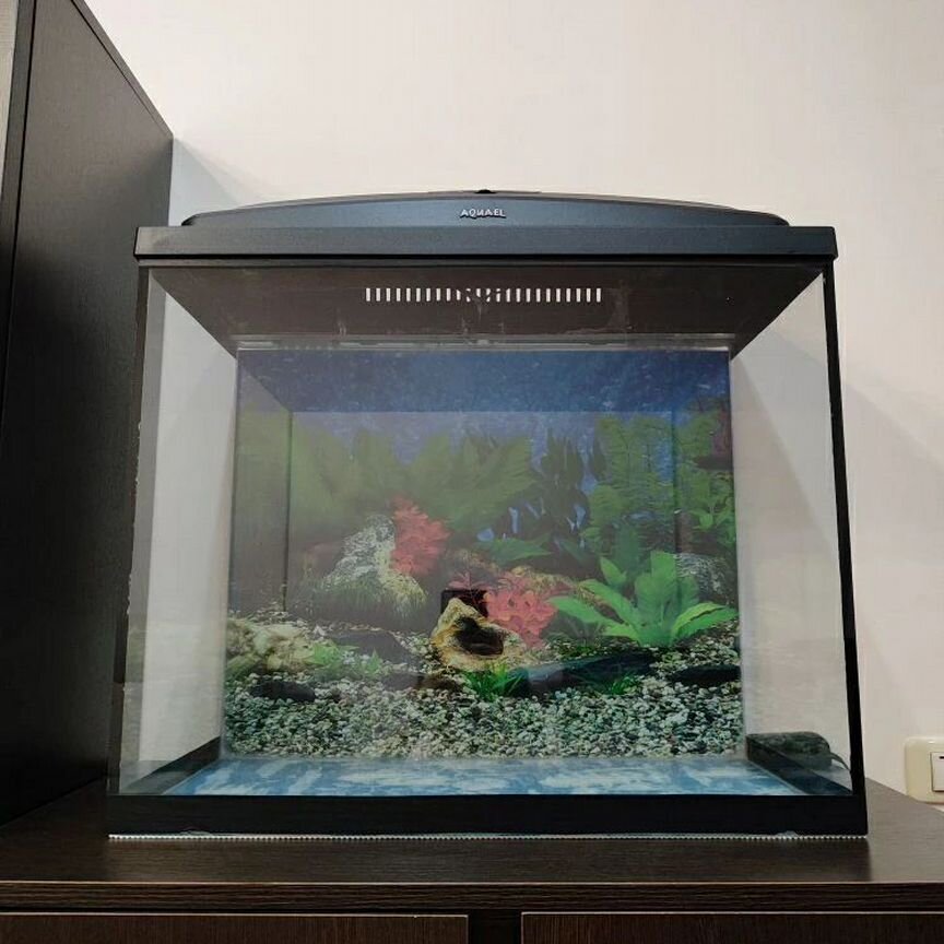 Аквариум, помпа фильтр, декорации