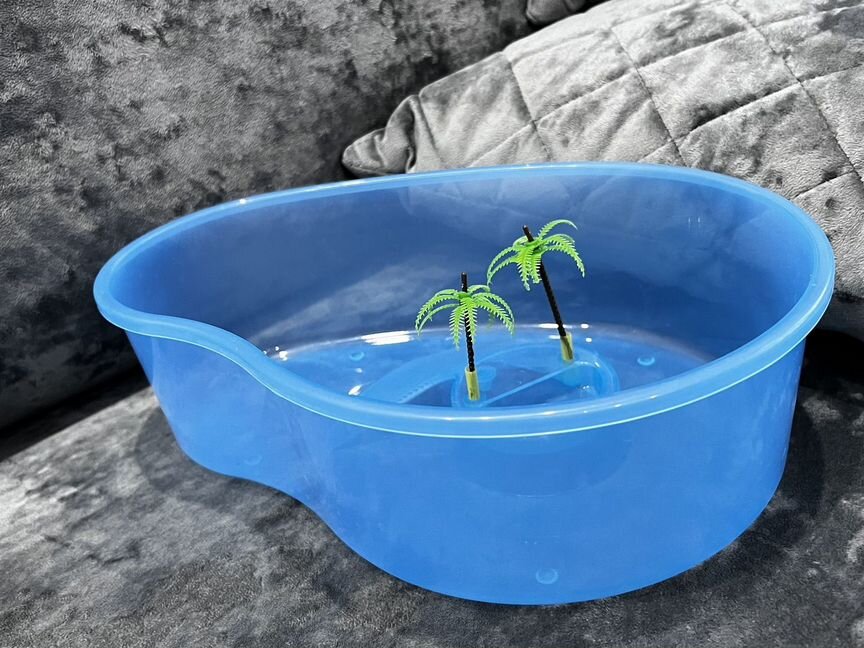 Черепашник открытый с островком