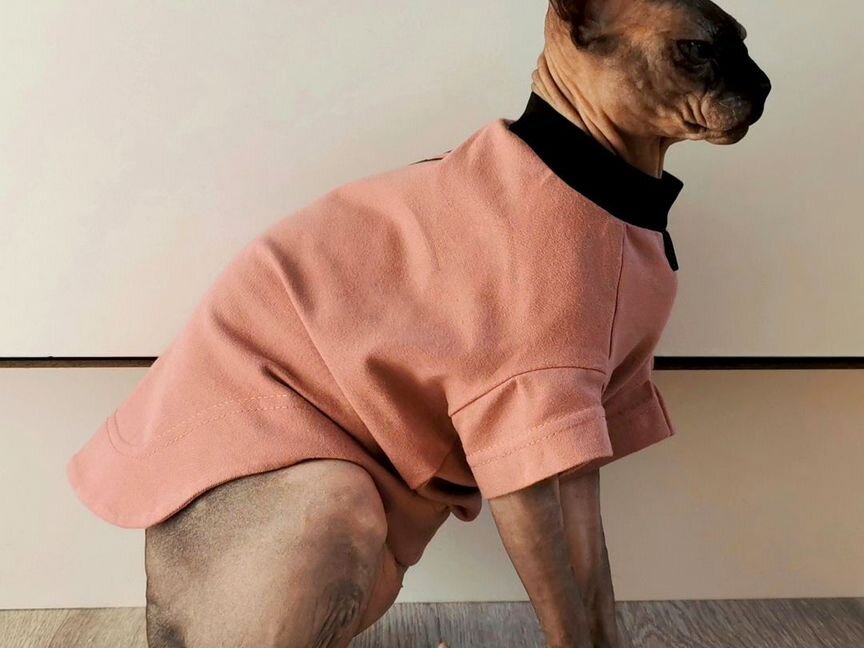 Футболка для сфинкса