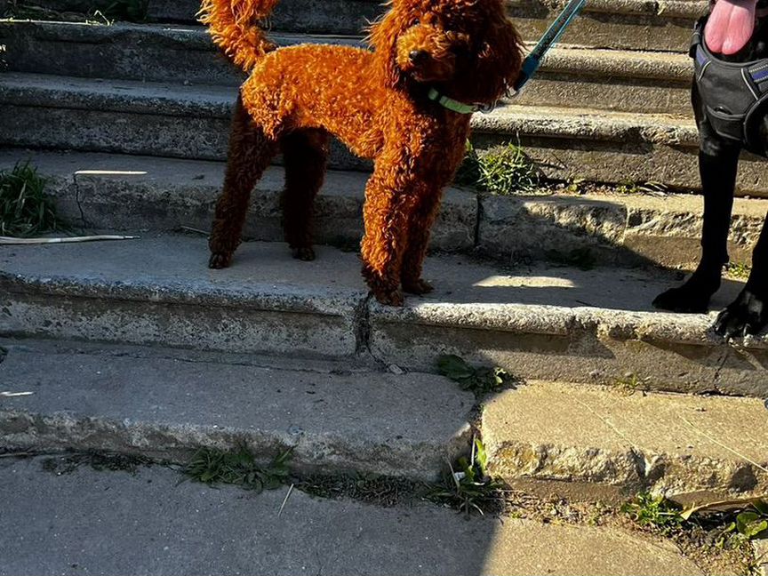 Яркий парень