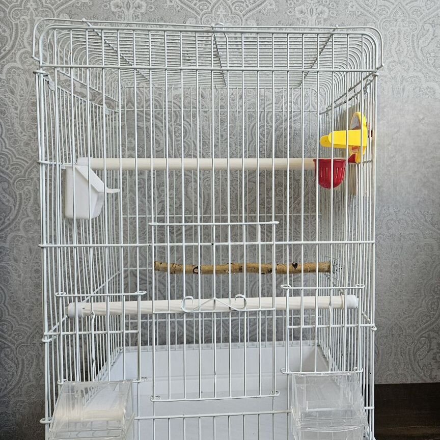 Клетка