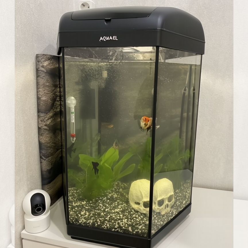 Аквариум с рыбками