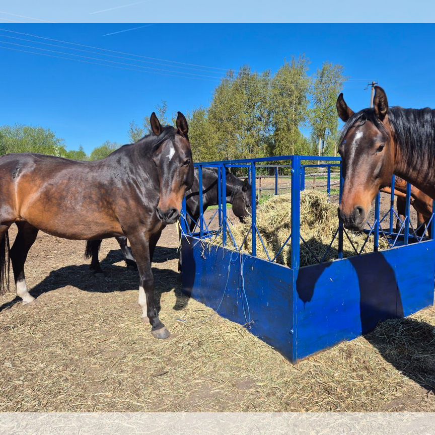 Кормушка для лошадей разборная под рулон