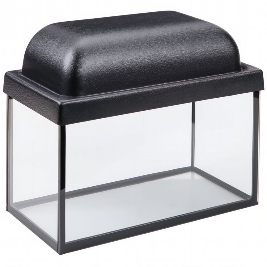 Аквариумистика