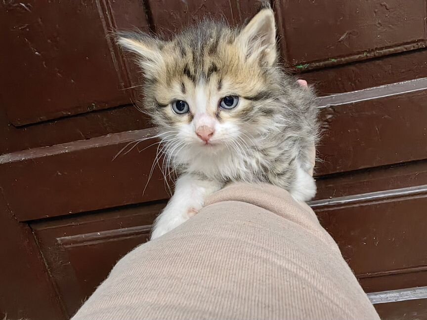 Остался 1 мальчик