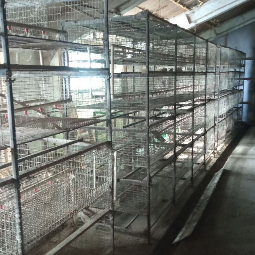 Клетки для птиц, перепелов, бройлеров, несушки