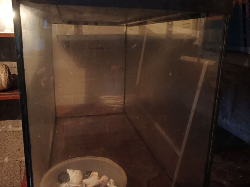 Аквариум на 130 литров