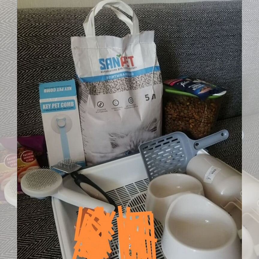 Корм, аксессуары для котиков