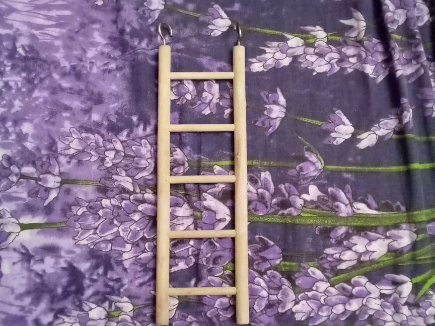 Лестница для попугая