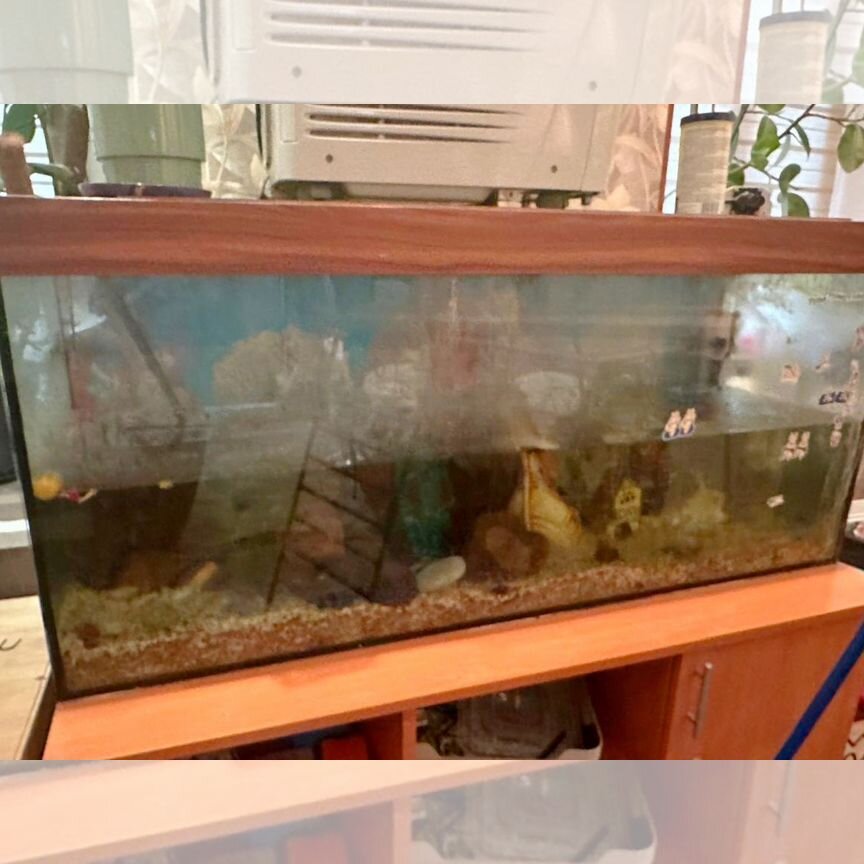 Аквариум 500 литров, фильтр, тумба