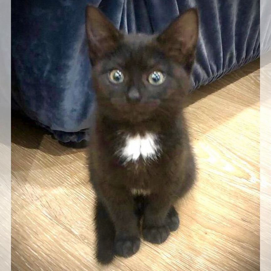 Малышка 3 мес. ночью найдена в промерзшей траве