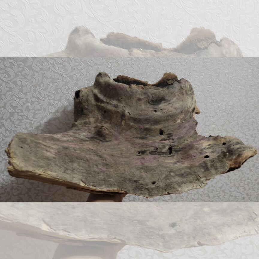 Дрифтвуд коряга