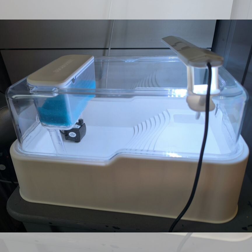 Аквариум, акватеррариум